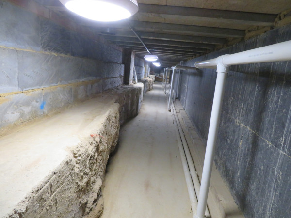 Freeboard Pool with Swim-Jets