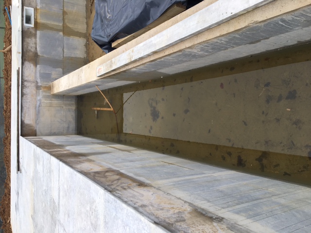 Freeboard Pool with Roman Steps