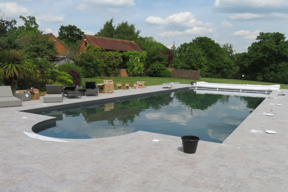Freeboard Pool with Roman Steps